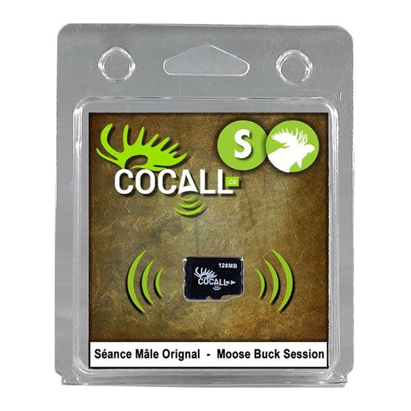 Bull Moose Sound Card – Précision Archerie