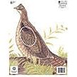 grouse nfa-23 – Précision Archerie